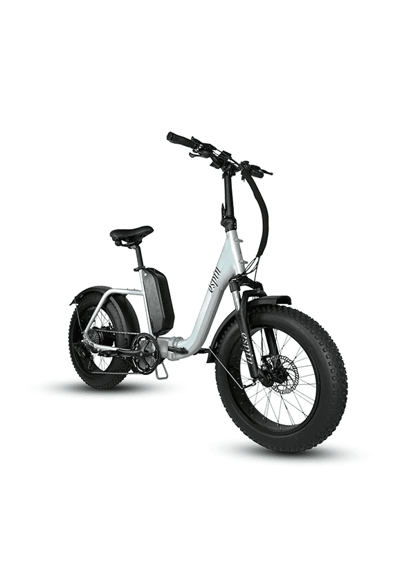 NESTA 750W 20" Fat Tire Versatile E-bike – MET Riders